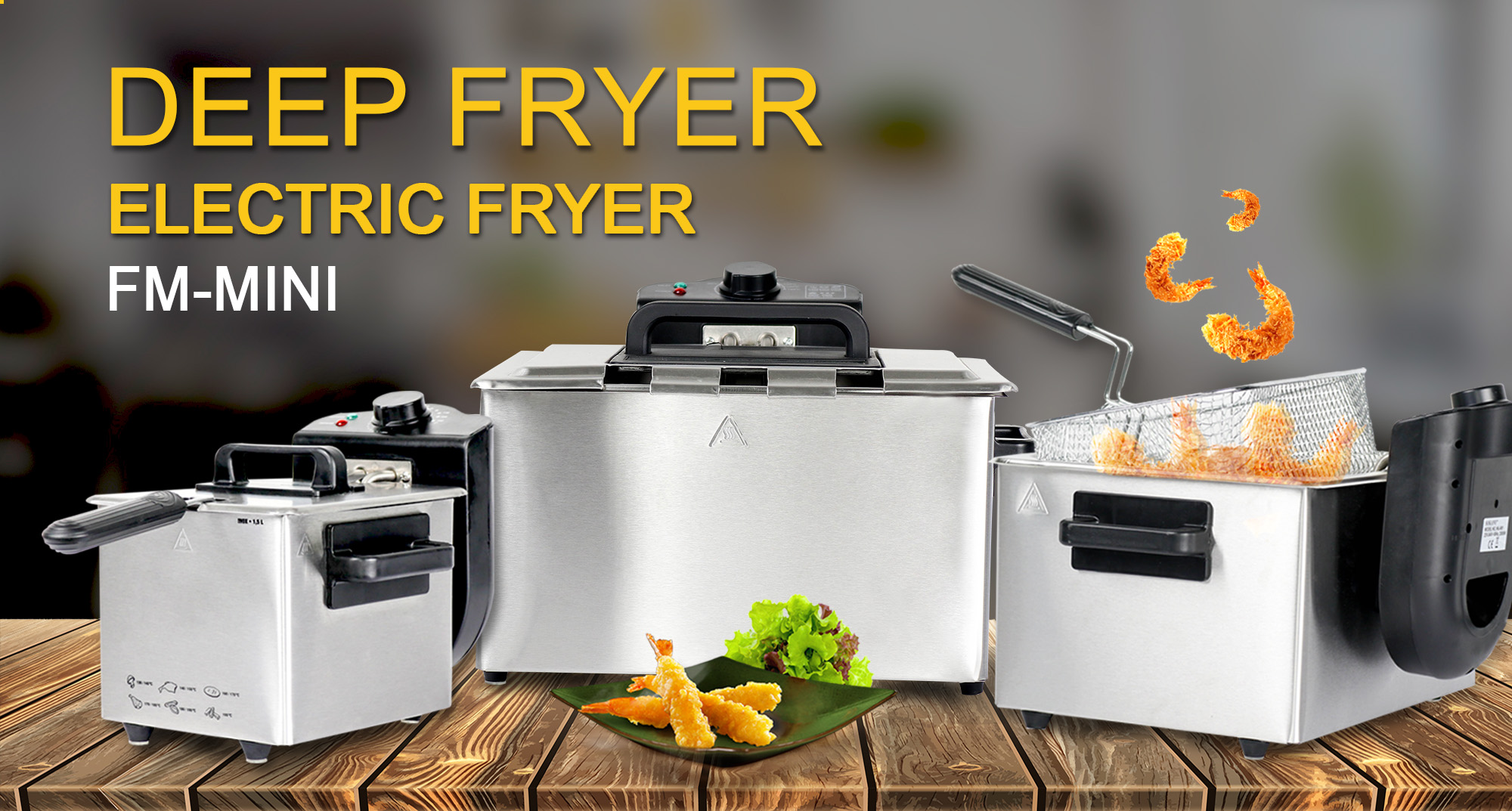 Deep Fryer (3L/5L) - SGE Singapore