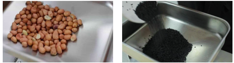 Oil extraction machine OX-01 - SGE Singapore